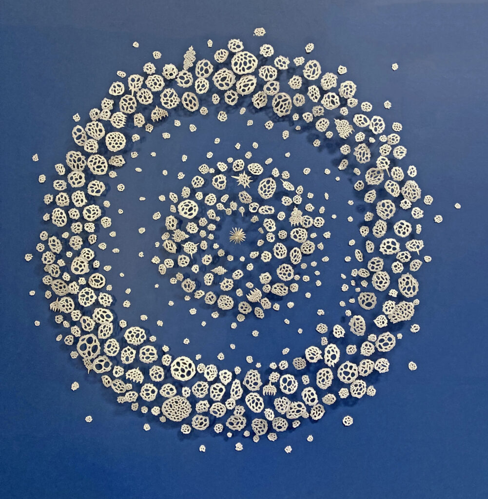 Jenni Ward - Artaxis.org