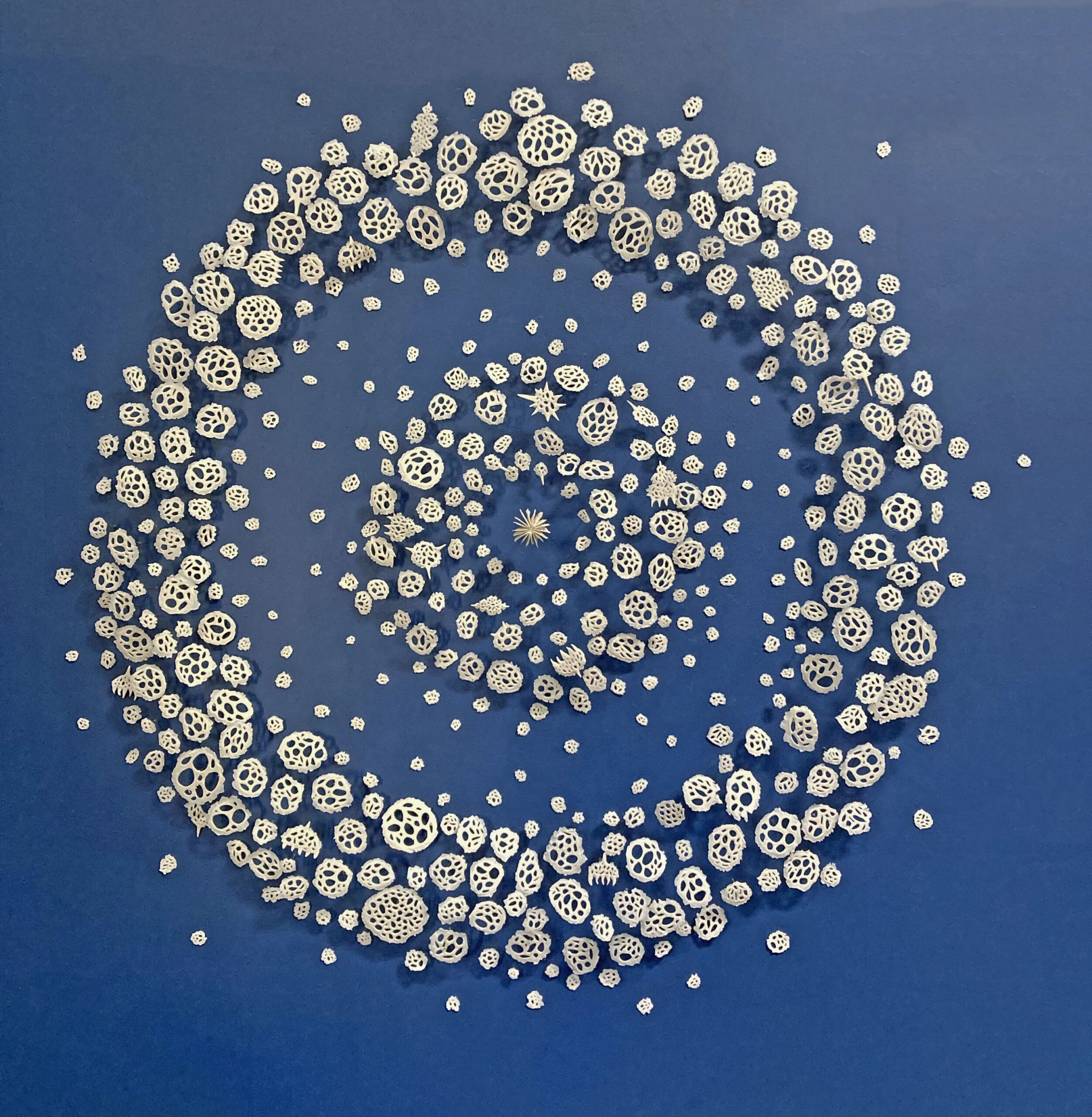 Jenni Ward - Artaxis.org