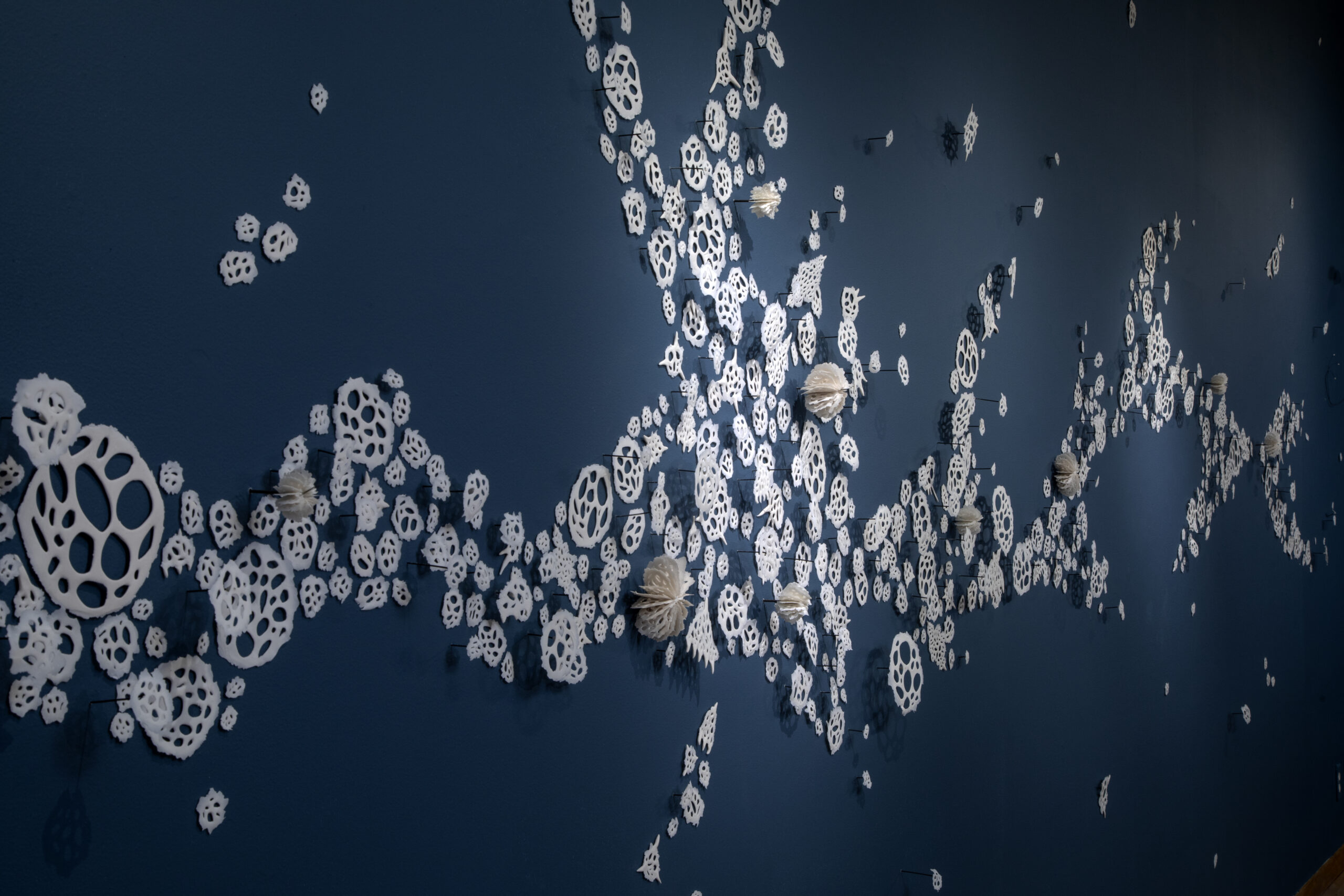 Jenni Ward - Artaxis.org