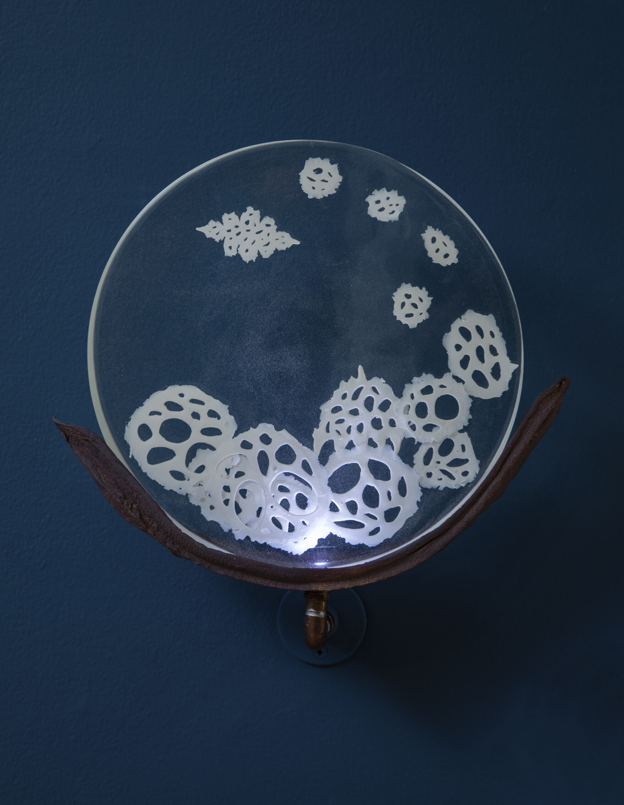 Jenni Ward - Artaxis.org