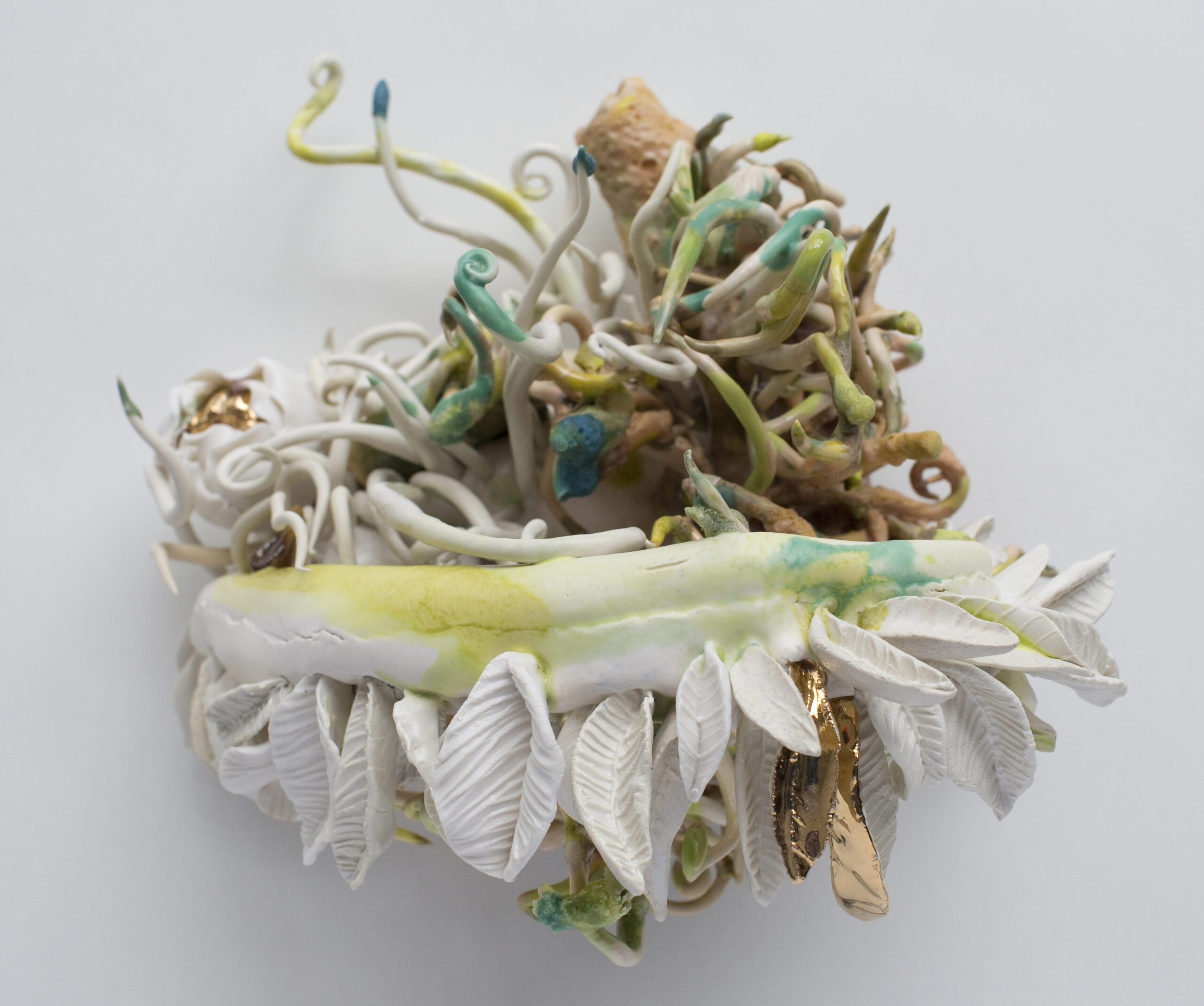 Jess Riva Cooper - Artaxis.org