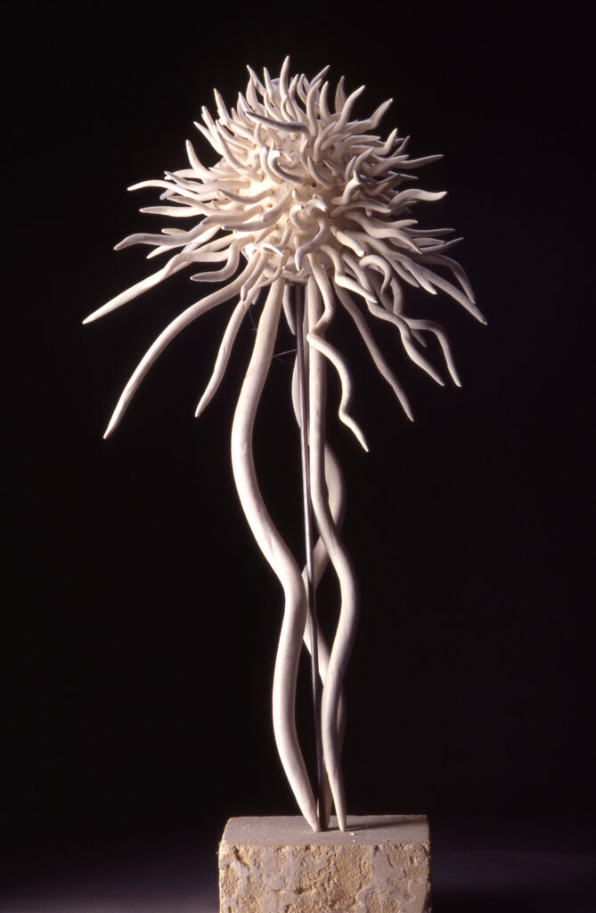 Graham Hay - Artaxis.org