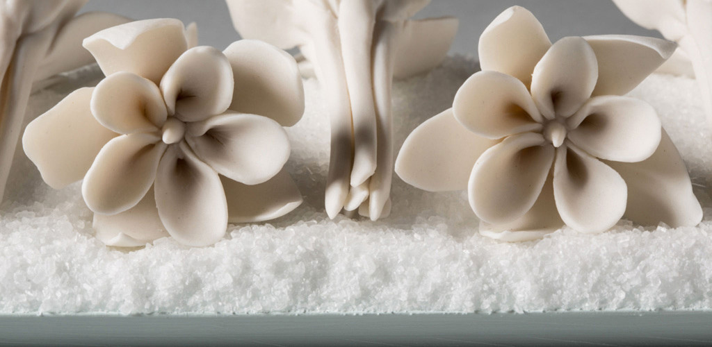 Blake Williams - Artaxis.org