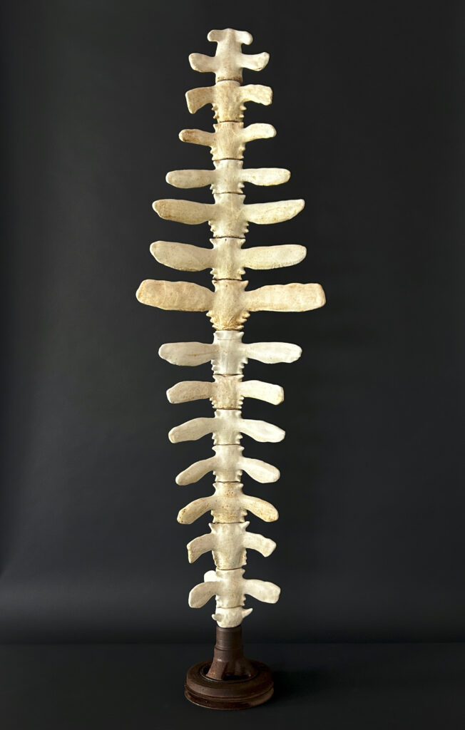 Elaine Parks - Artaxis.org