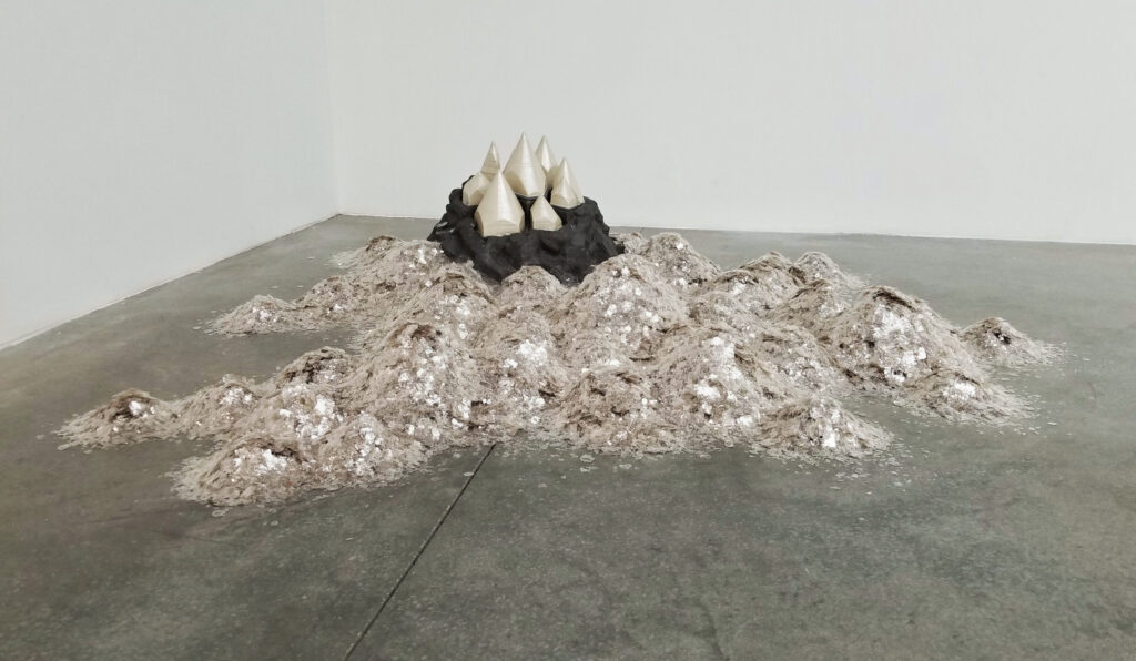 Dylan Beck - Artaxis.org