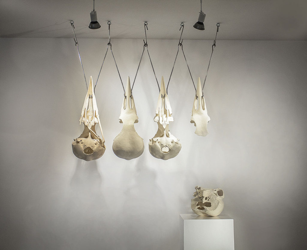 Daniel Cavey - Artaxis.org