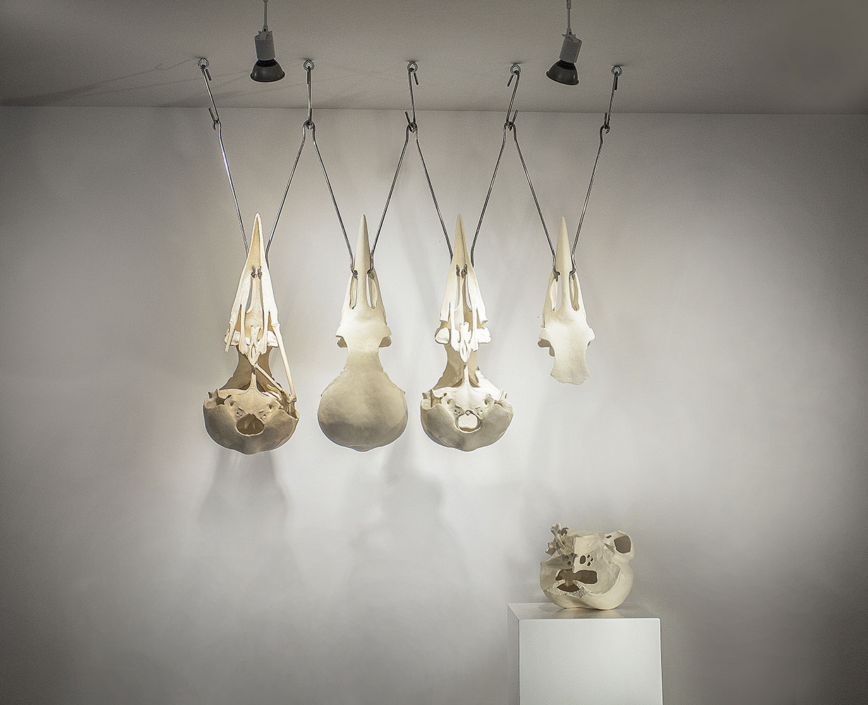 Daniel Cavey • Artaxis.org