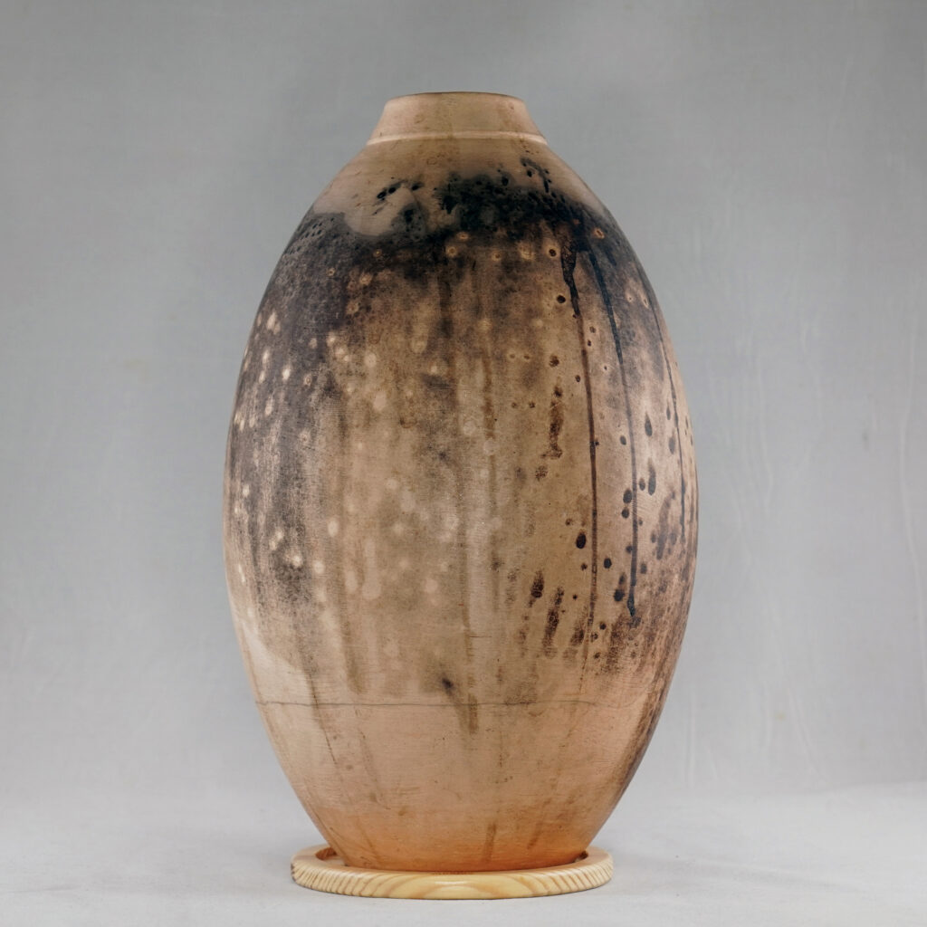 Adil Ghani - Artaxis.org