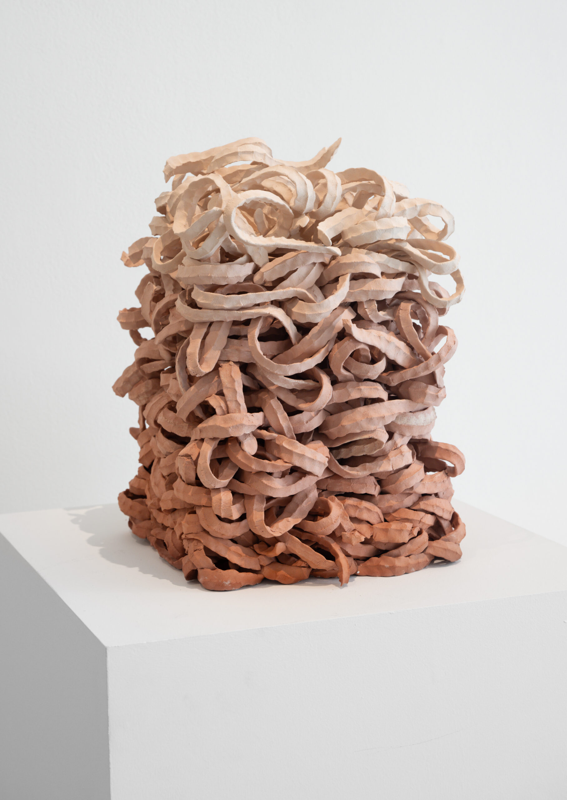 Artaxis.org: an evolving independent network of artists
