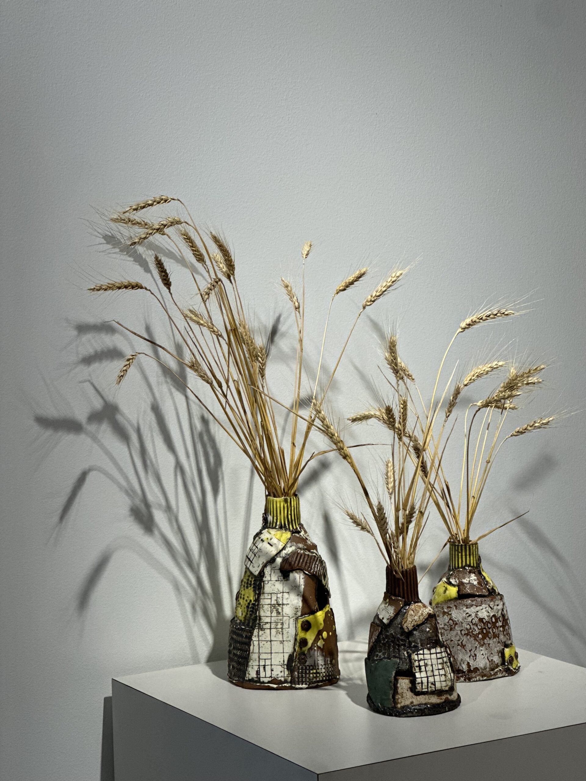 Taylor Craig - Artaxis.org