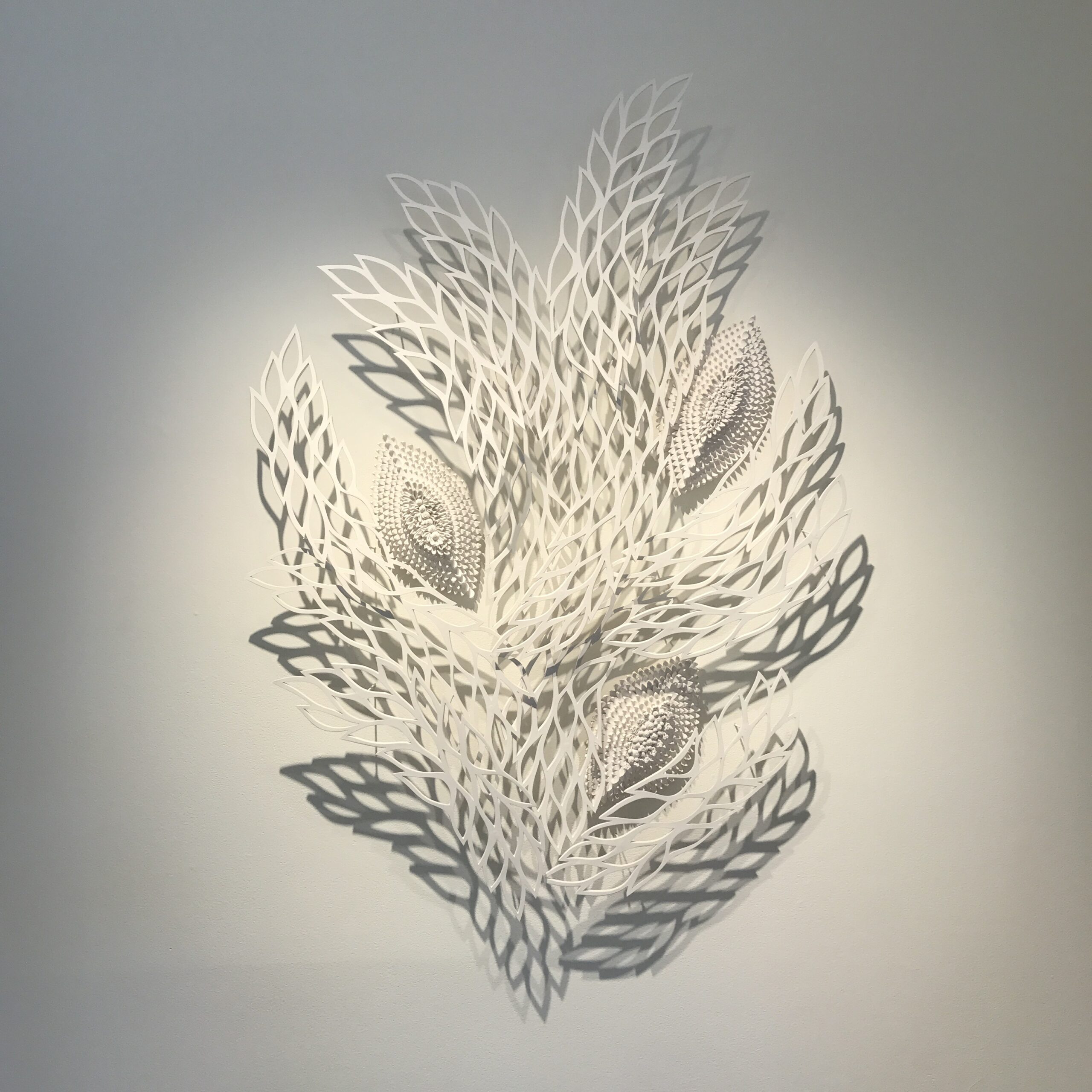 Isabelle Coppinger - Artaxis.org