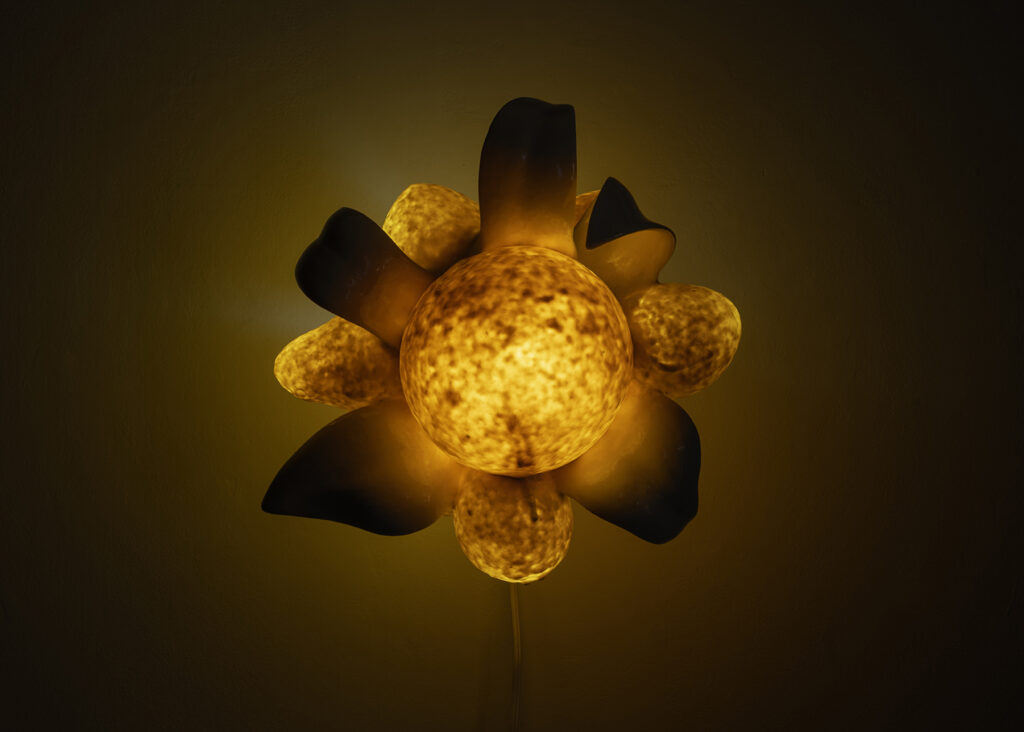 Lisa Conway - Artaxis.org