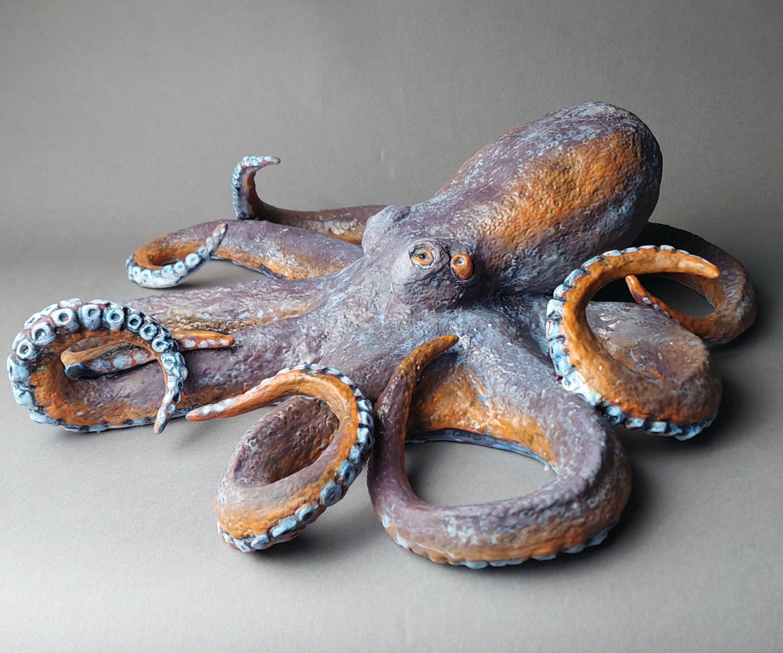 Octopus • Artaxis.org