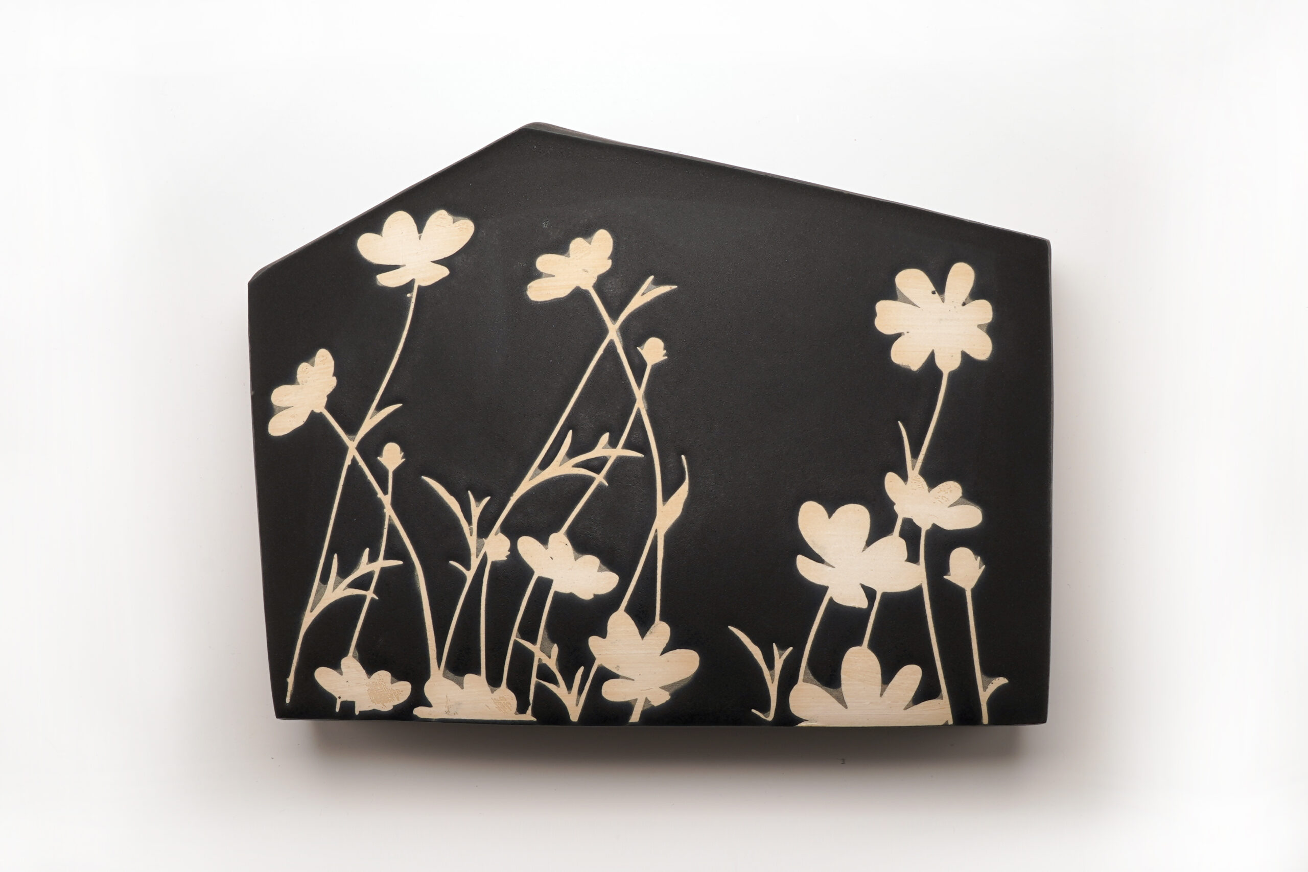 Jill Oberman - Artaxis.org