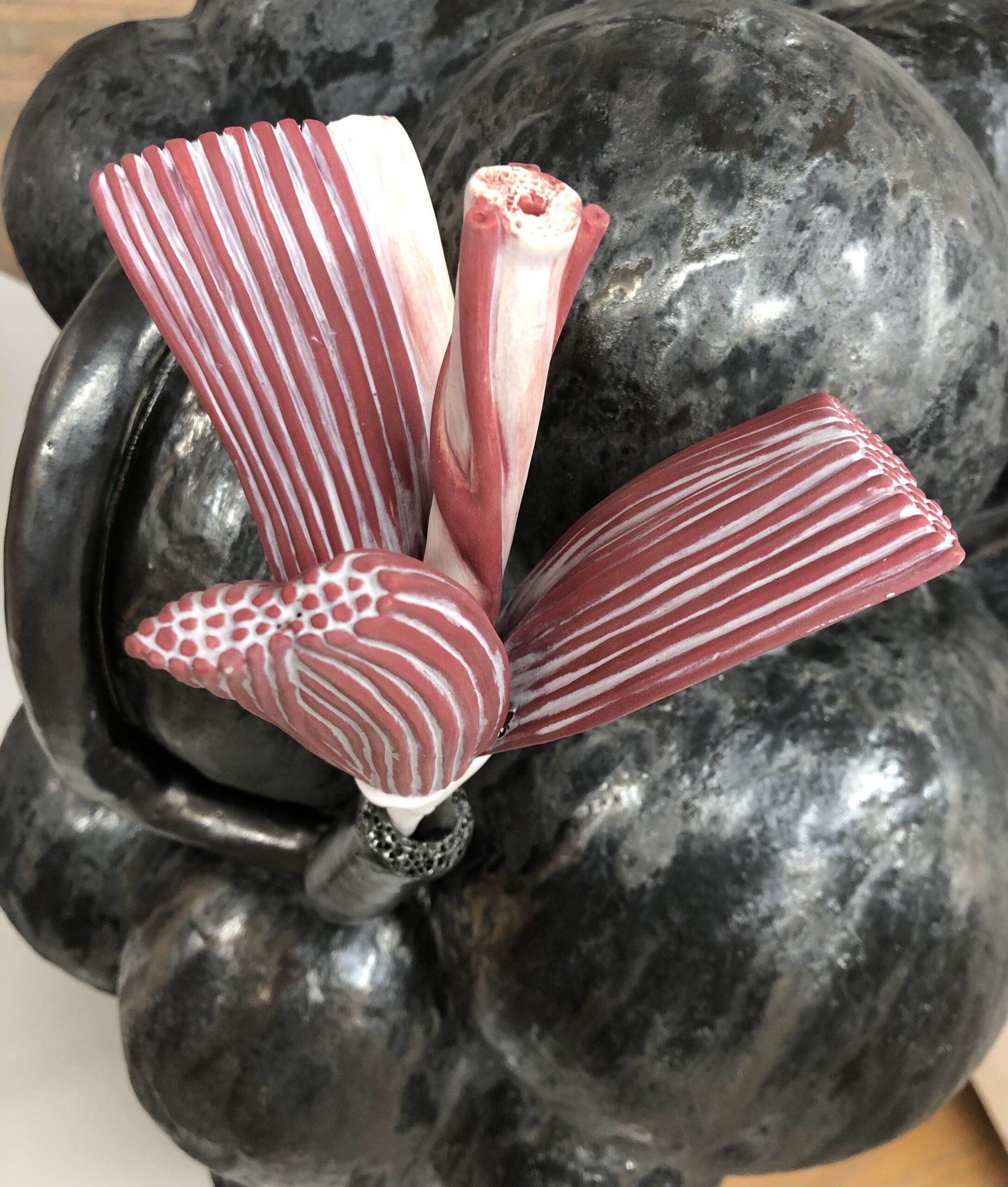 Resurrection, detail of 'flesh flower' • Artaxis.org