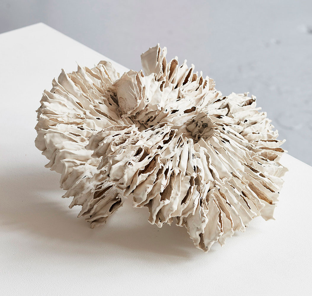 Sophie Kate Curran - Artaxis.org