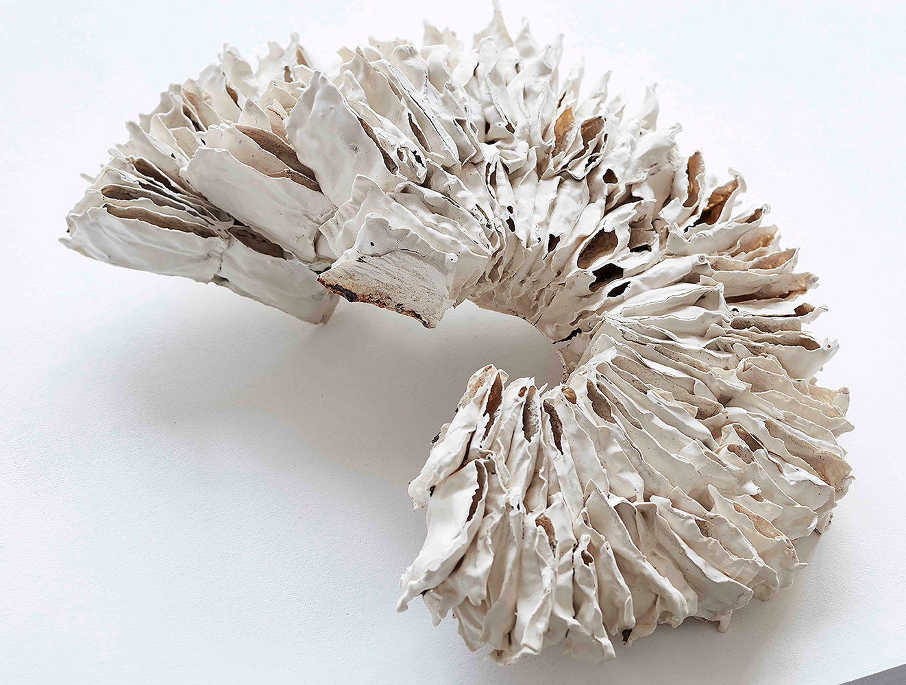 Sophie Kate Curran - Artaxis.org