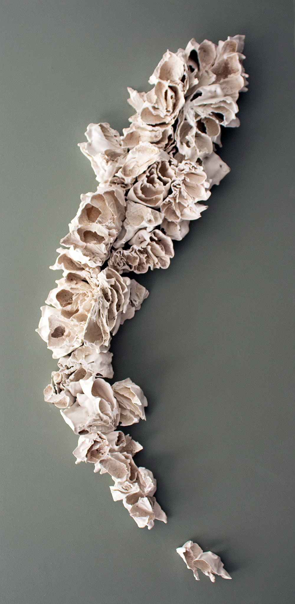 Sophie Kate Curran - Artaxis.org