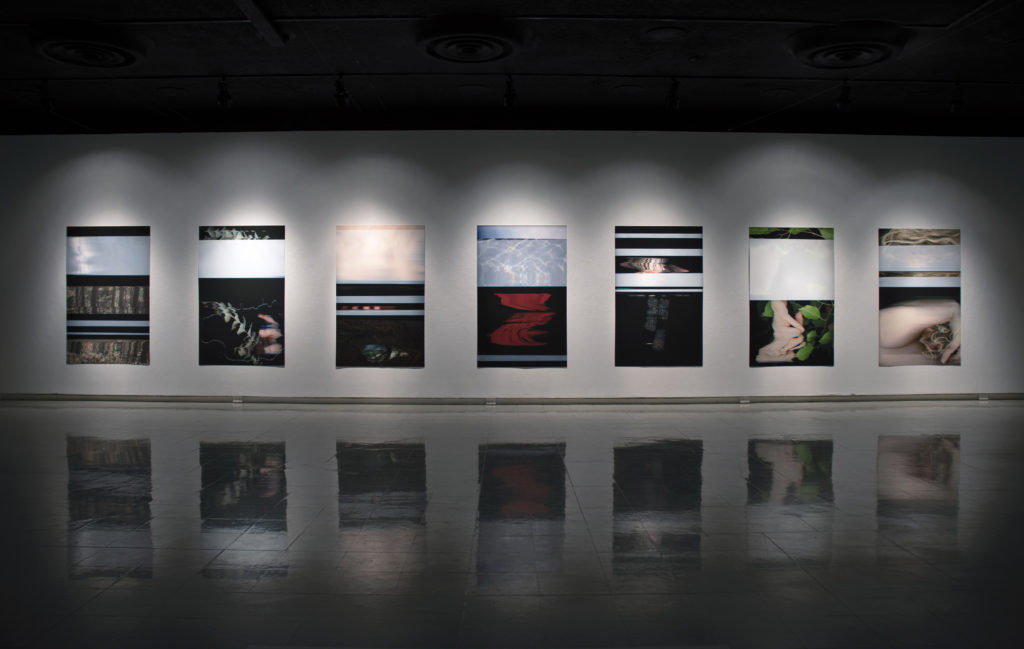 Molly Allen - Artaxis.org
