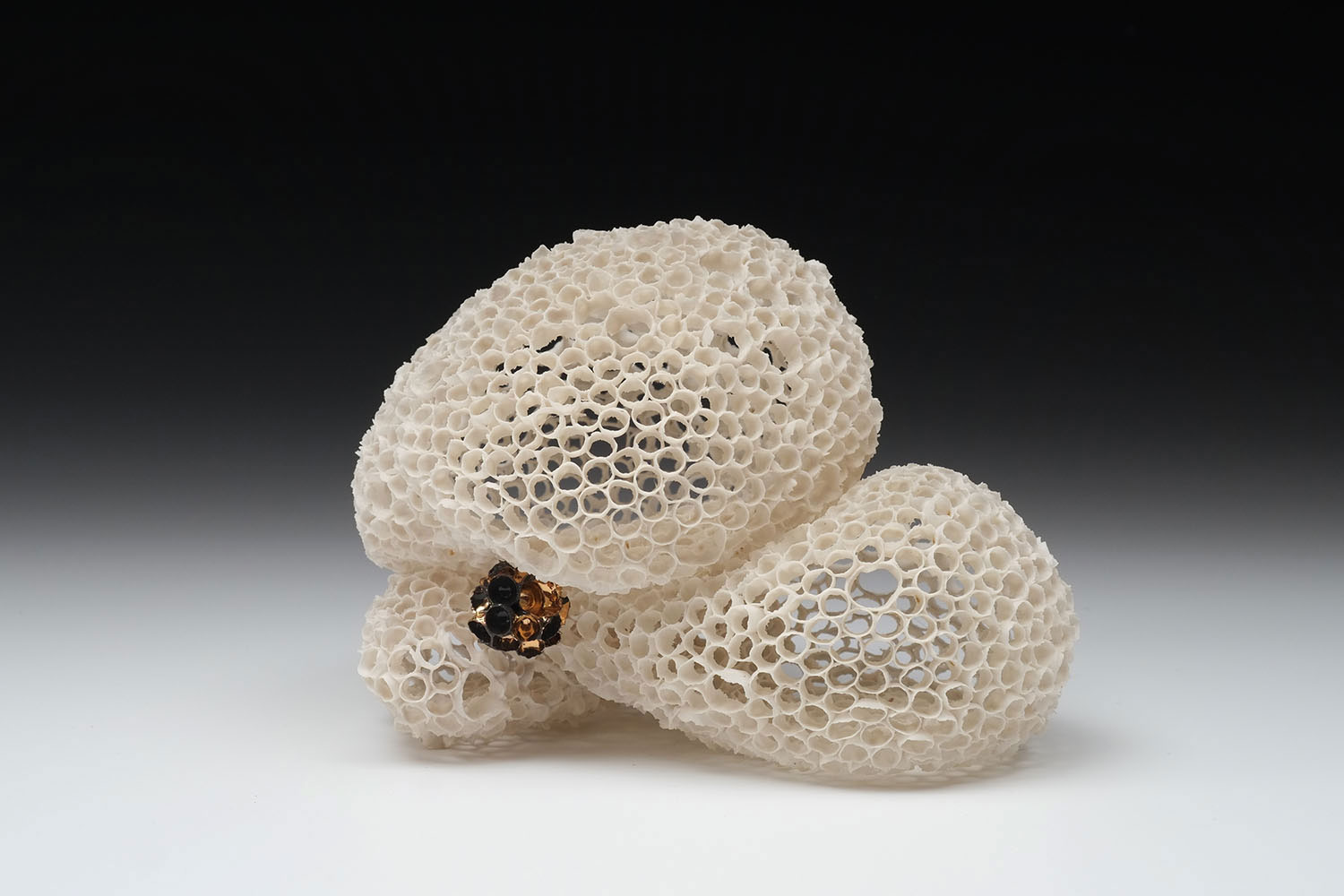Chase Grover - Artaxis.org