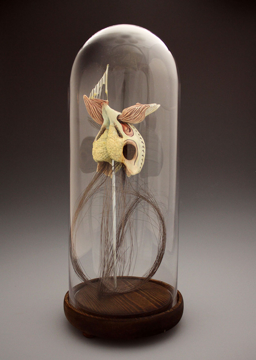 Carrie Longley - Artaxis.org