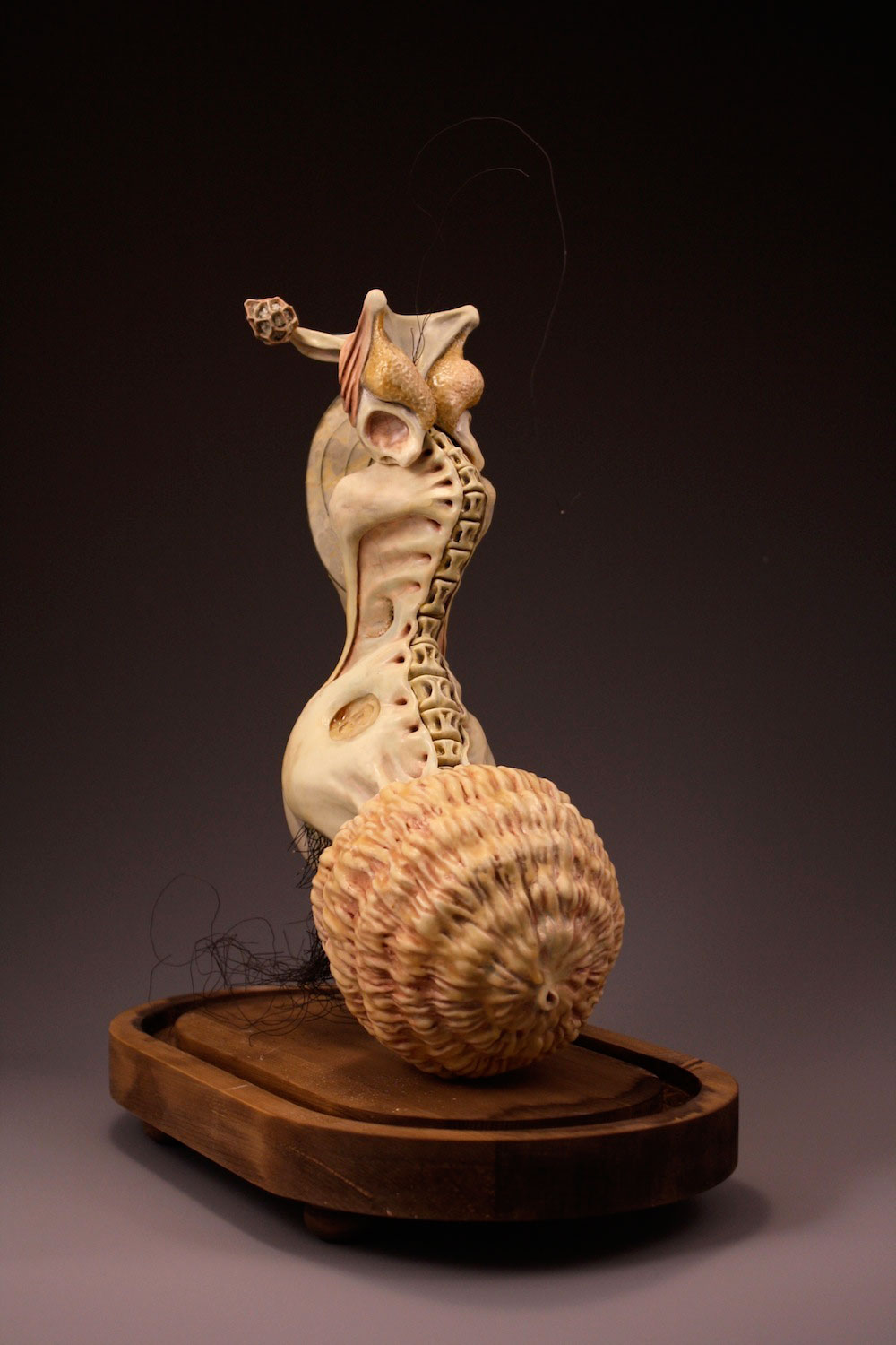 Carrie Longley - Artaxis.org