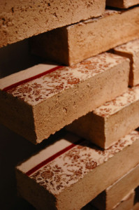 Colleen Toledano - Artaxis.org