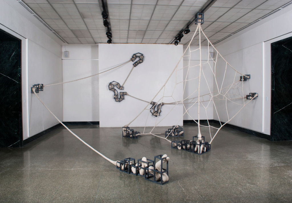 David Katz - Artaxis.org