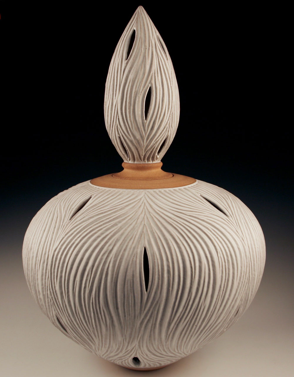 Danny Meisinger - Artaxis.org