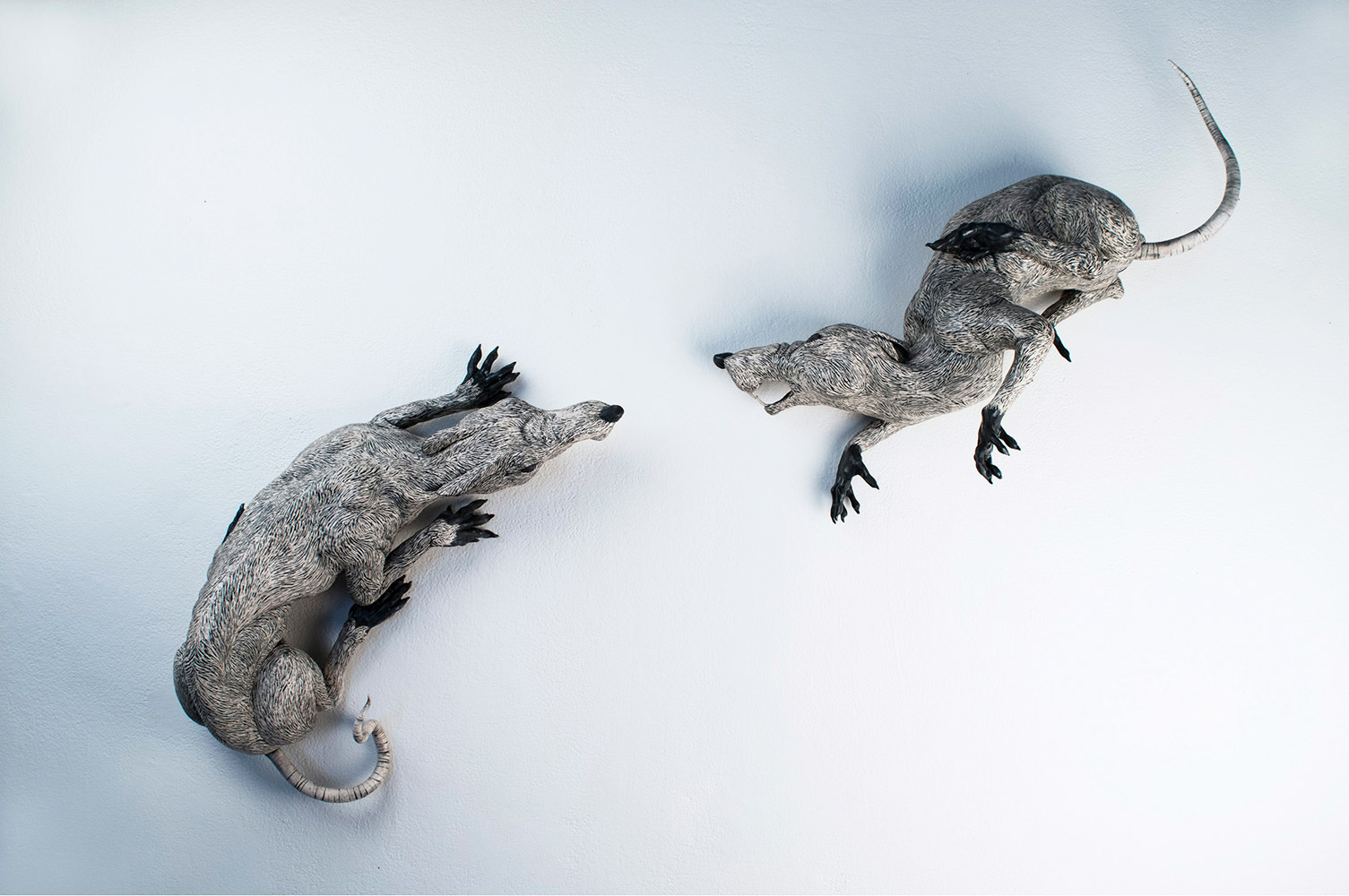 Emily Nickel - Artaxis.org