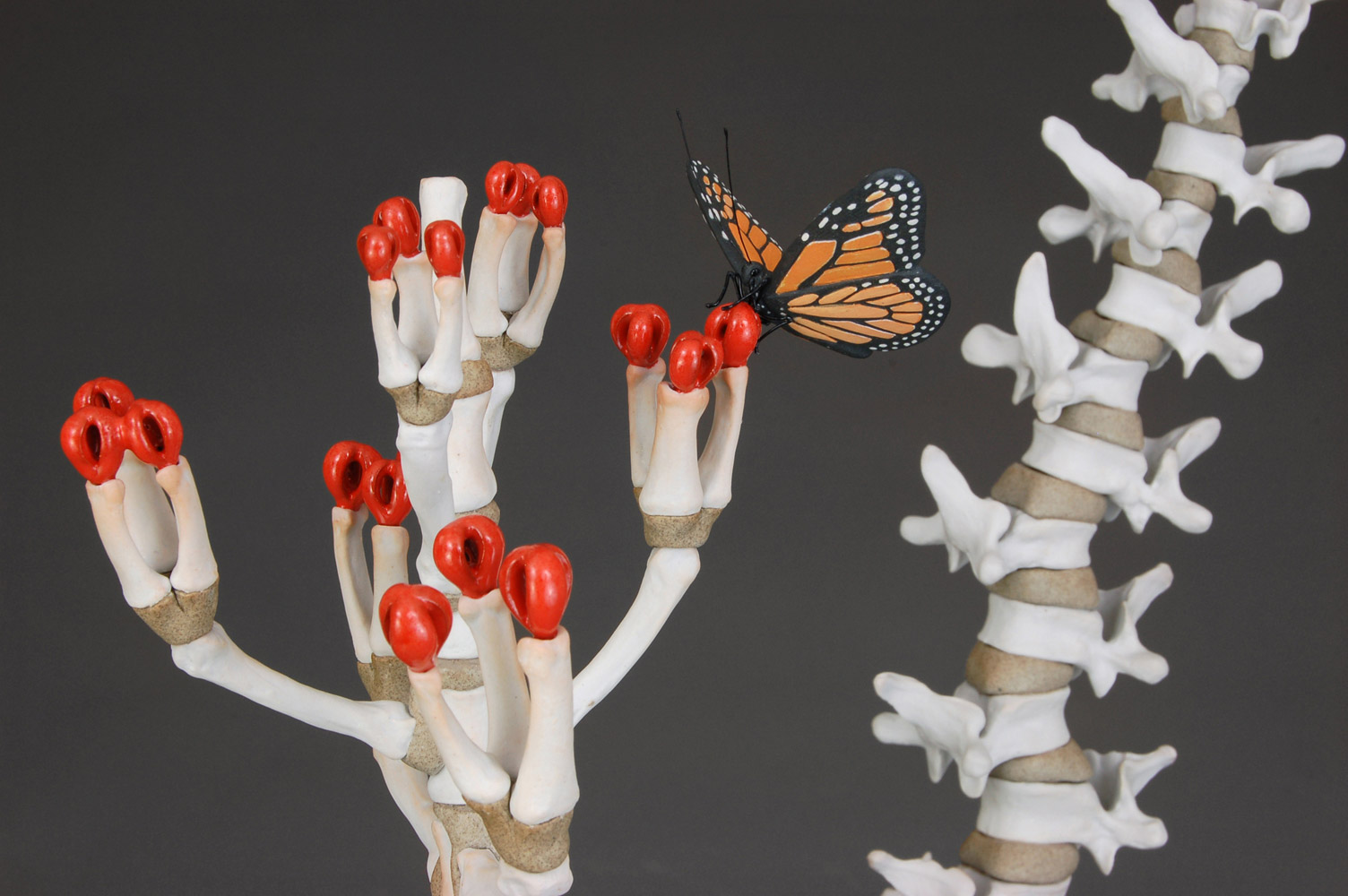 Elaine Quave - Artaxis.org