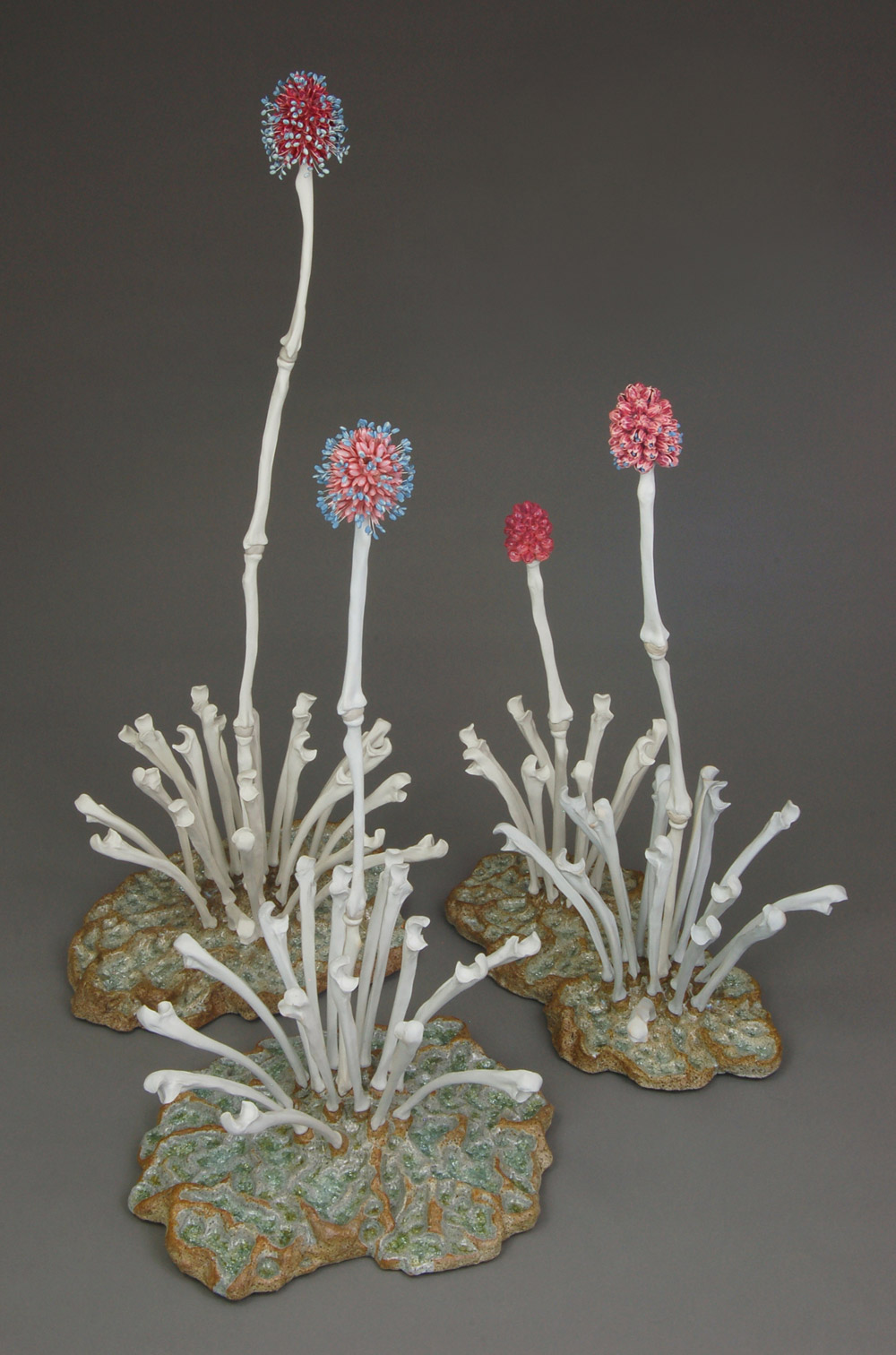 Elaine Quave - Artaxis.org