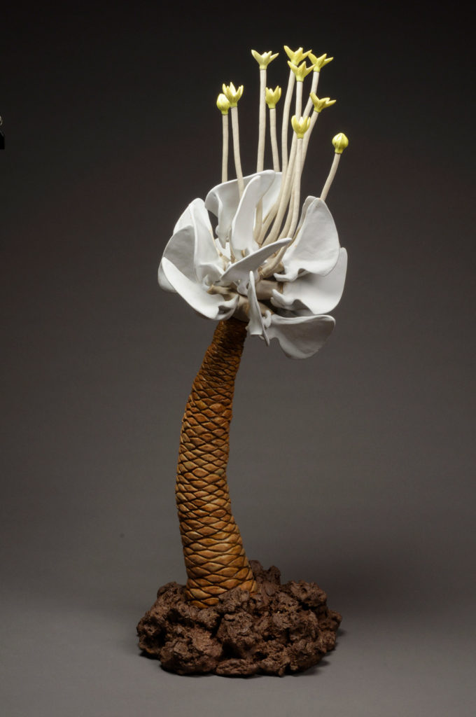 Elaine Quave - Artaxis.org