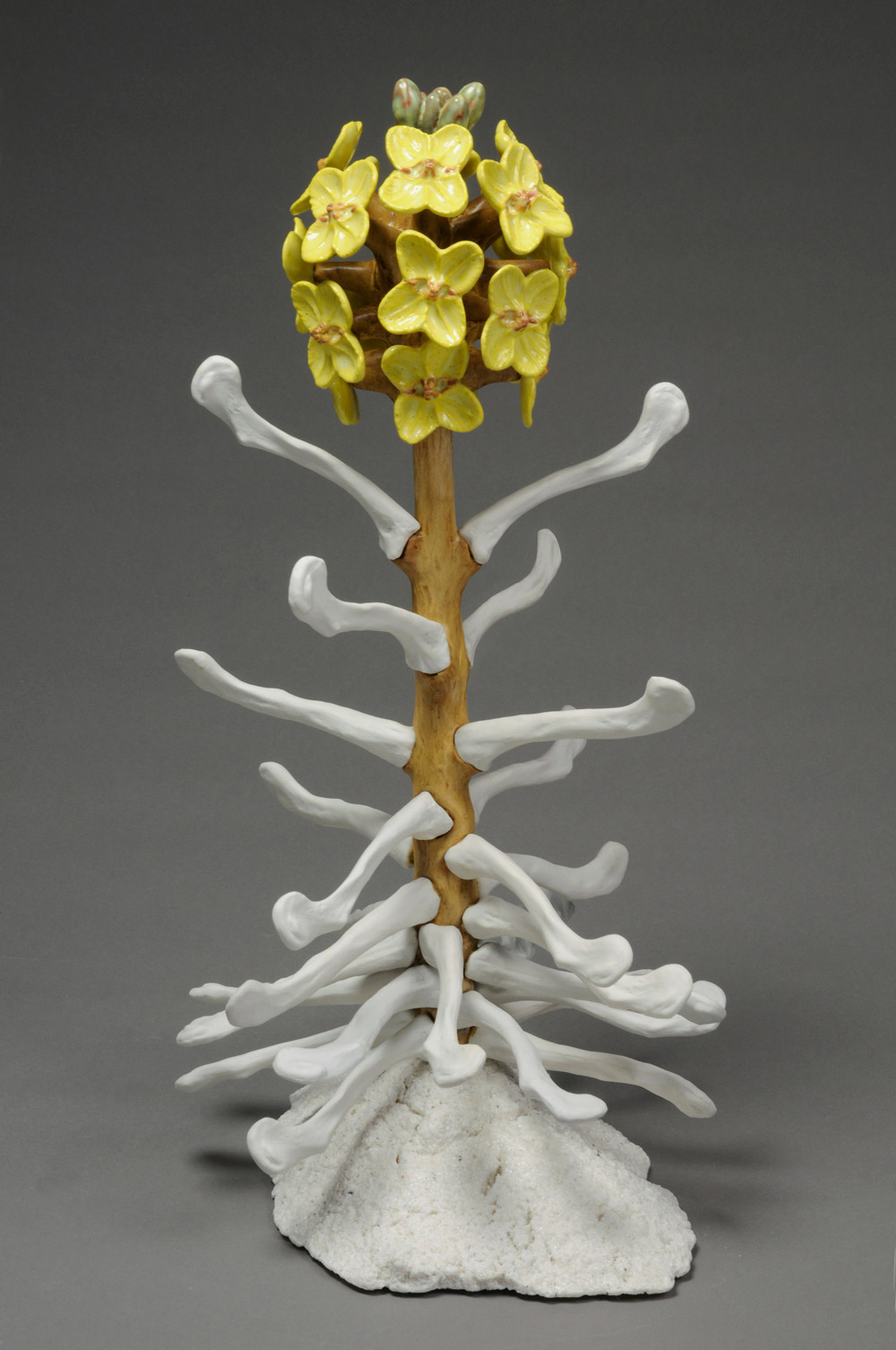 Elaine Quave - Artaxis.org