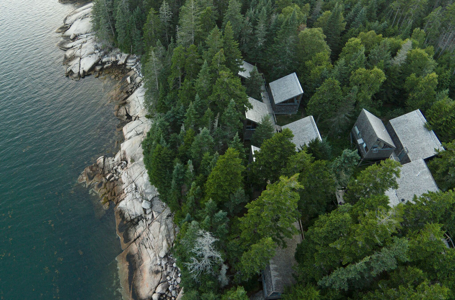 Artaxis Fellowship • Artaxis.org