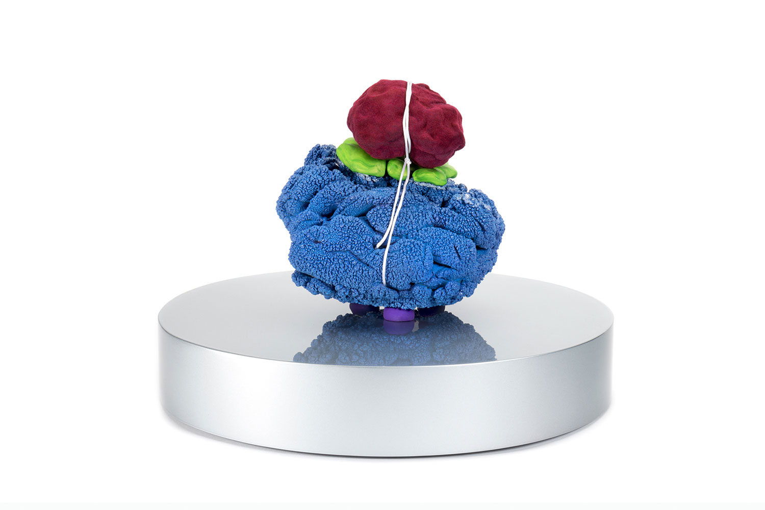 John Souter • Artaxis.org