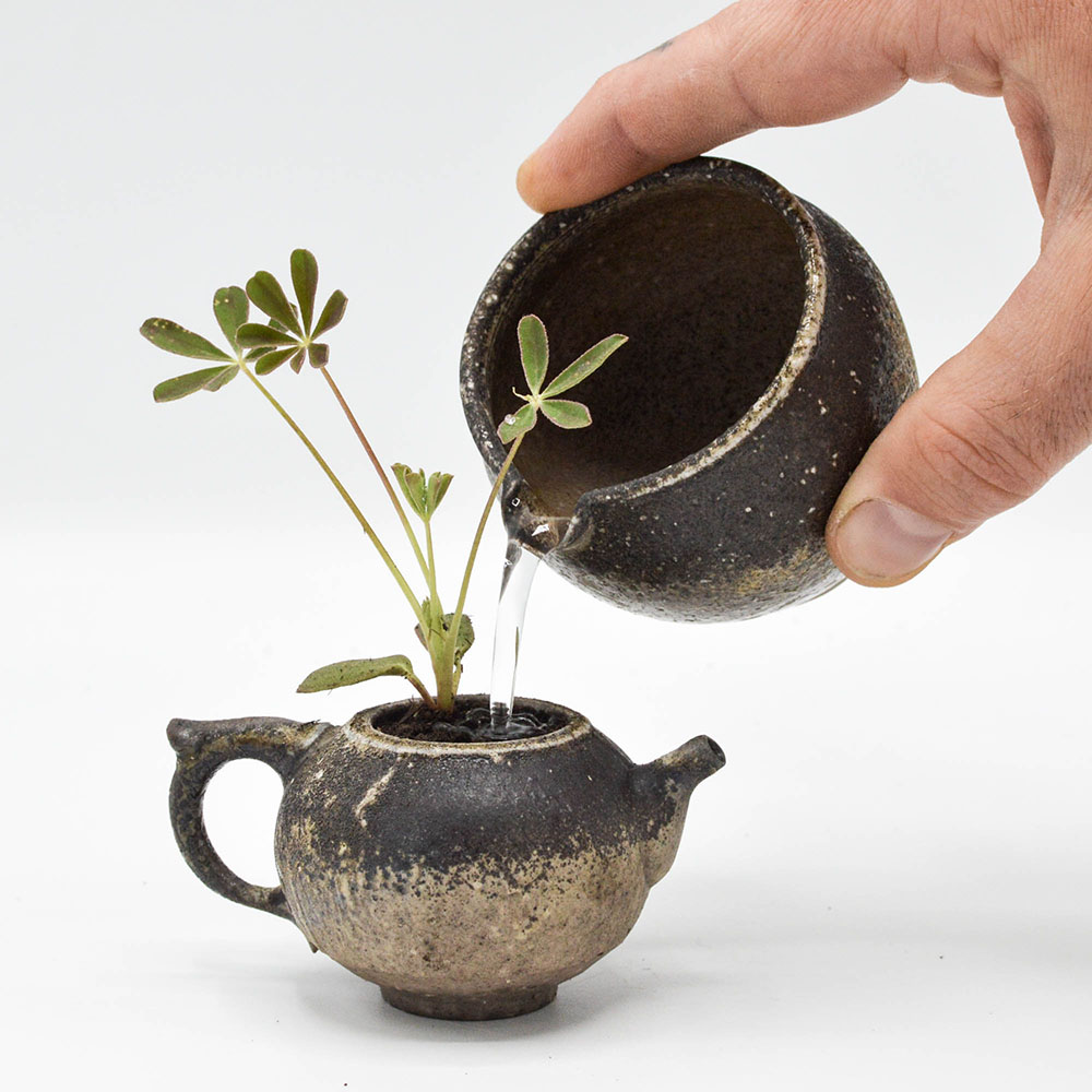 Jonathan Steele - Artaxis.org