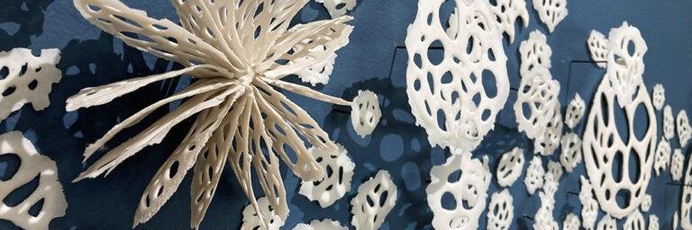 Artaxis.org: an evolving independent network of artists