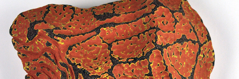 Artaxis.org: an evolving independent network of artists