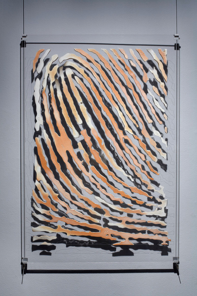 Janet Williams - Artaxis.org