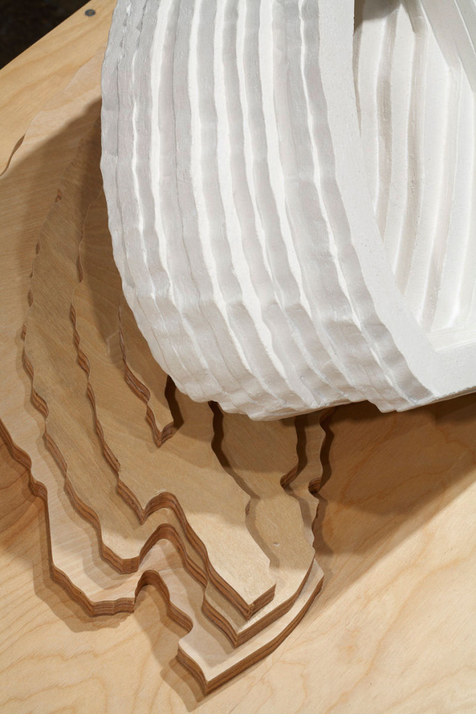 Janet Williams - Artaxis.org