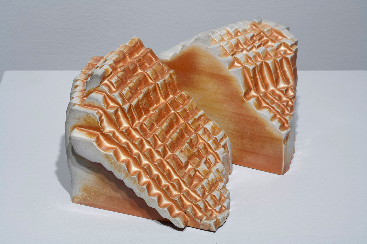Janet Williams - Artaxis.org