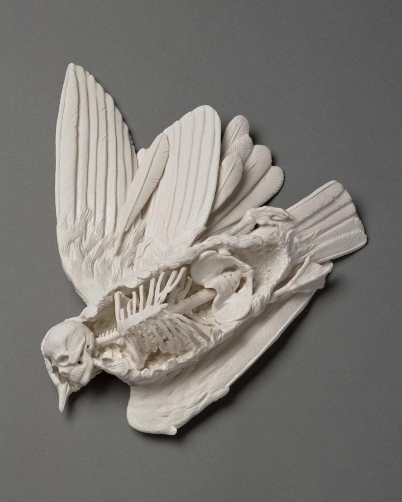 Kate MacDowell - Artaxis.org