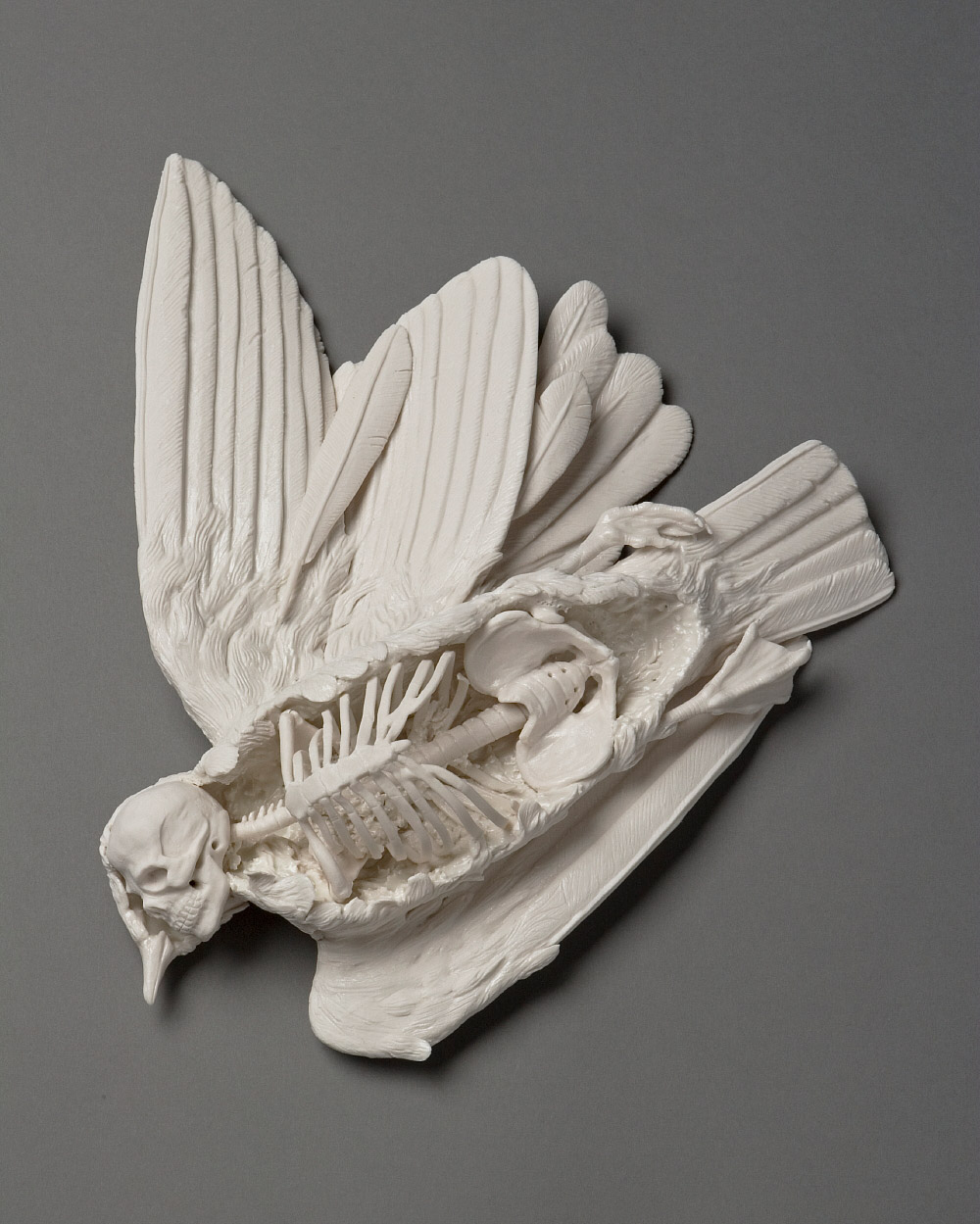 Kate MacDowell - Artaxis.org