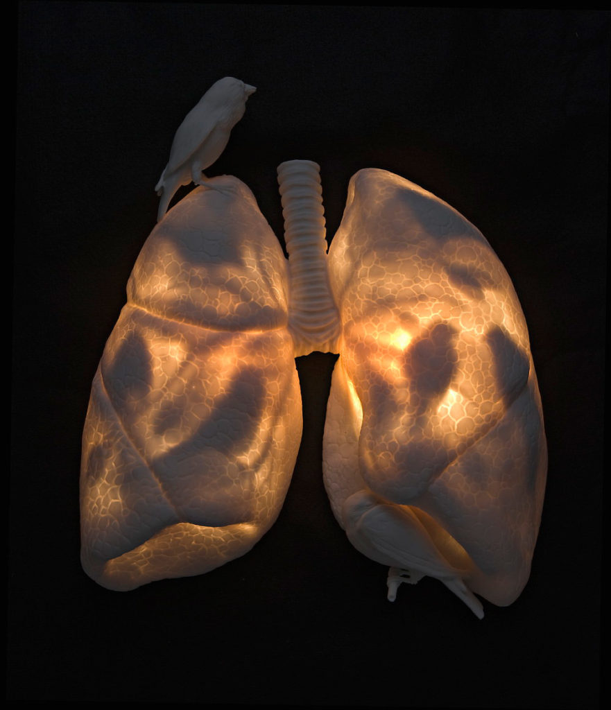 Kate MacDowell - Artaxis.org