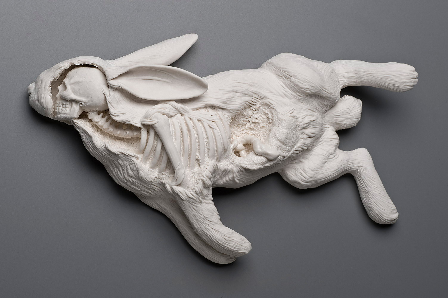 Kate MacDowell - Artaxis.org