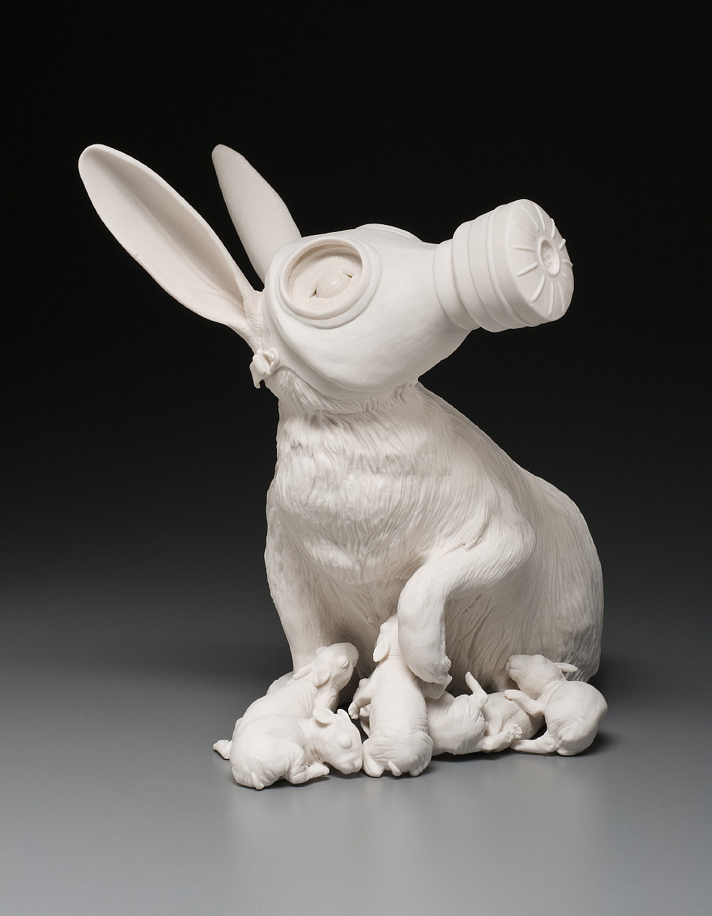 Kate MacDowell - Artaxis.org