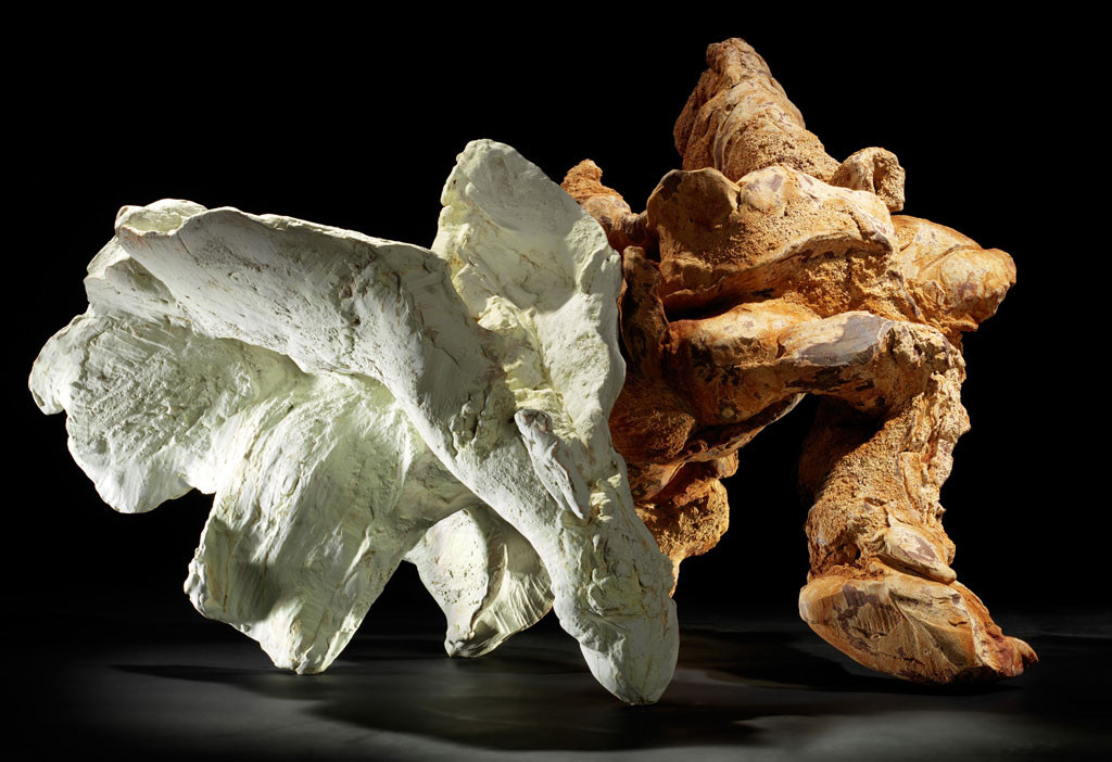Ray Chen - Artaxis.org