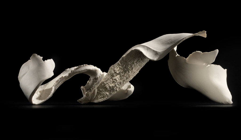 Ray Chen - Artaxis.org