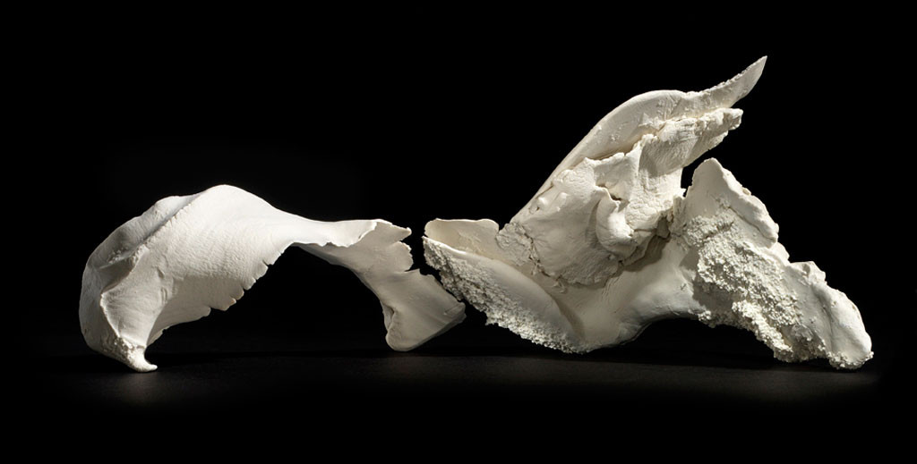 Ray Chen - Artaxis.org